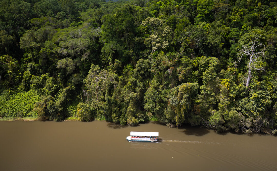 15 Best Things to Do in Kuranda For First-Timers