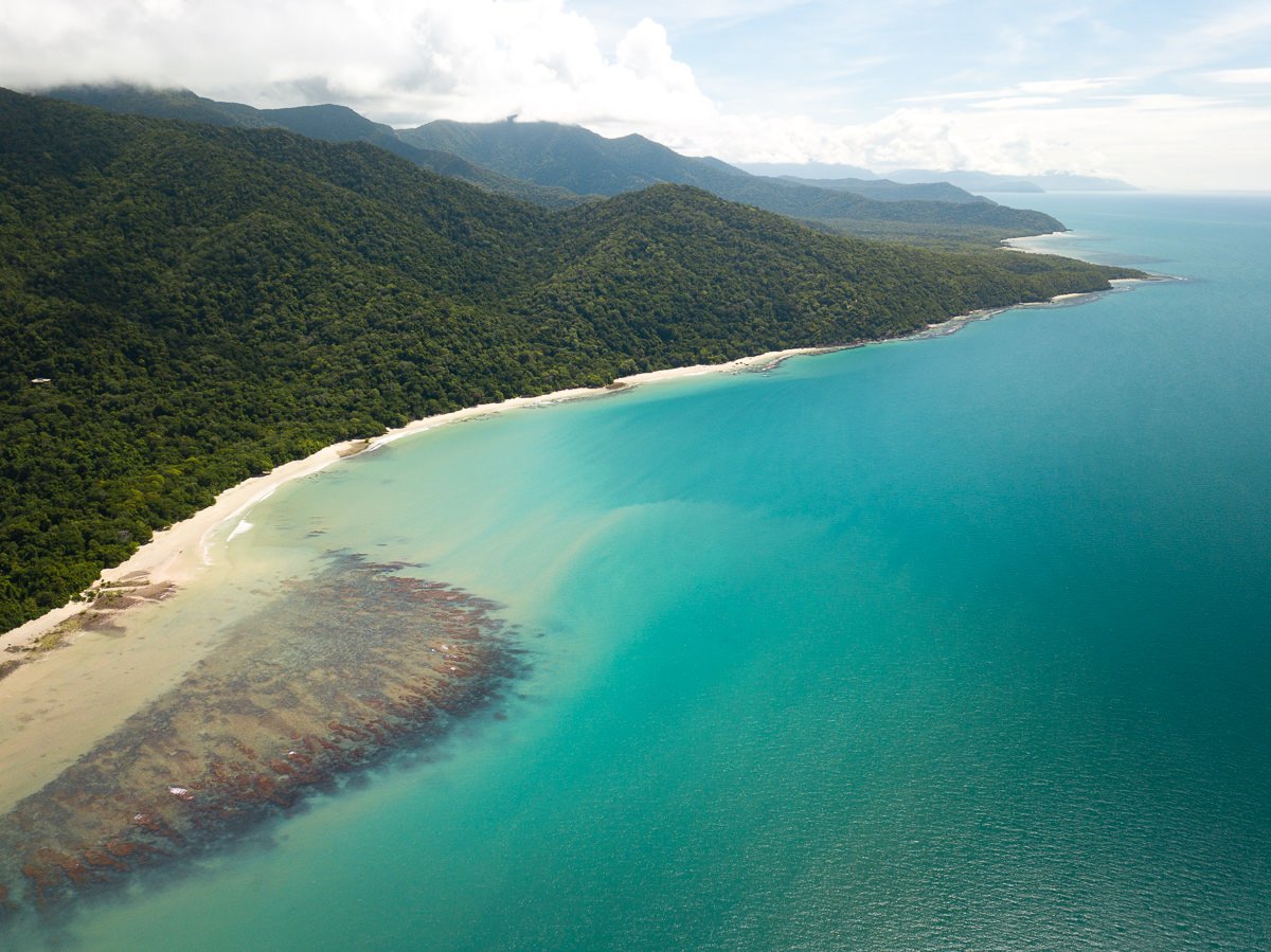 20 Things to do in Cape Tribulation & The Daintree - The Ultimate Cape ...