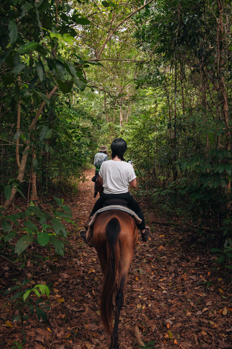 Cape Tribulation Horse Riding - 2023 Travel Guide