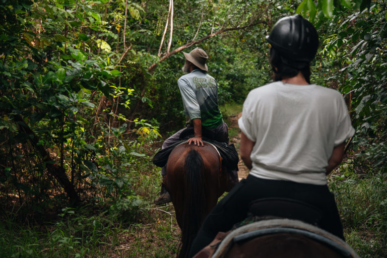 Cape Tribulation Horse Riding: Complete Guide