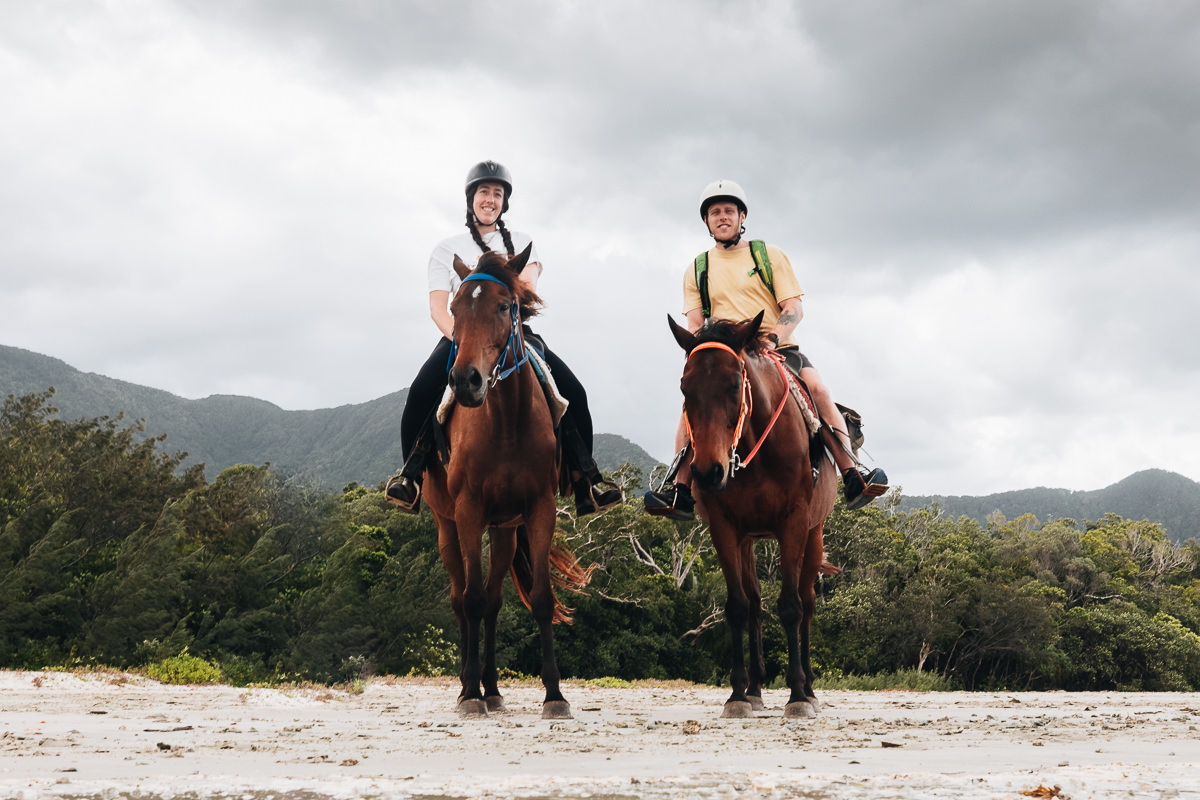 Cape Tribulation Horse Riding - Everything You Need To Know – We Seek ...