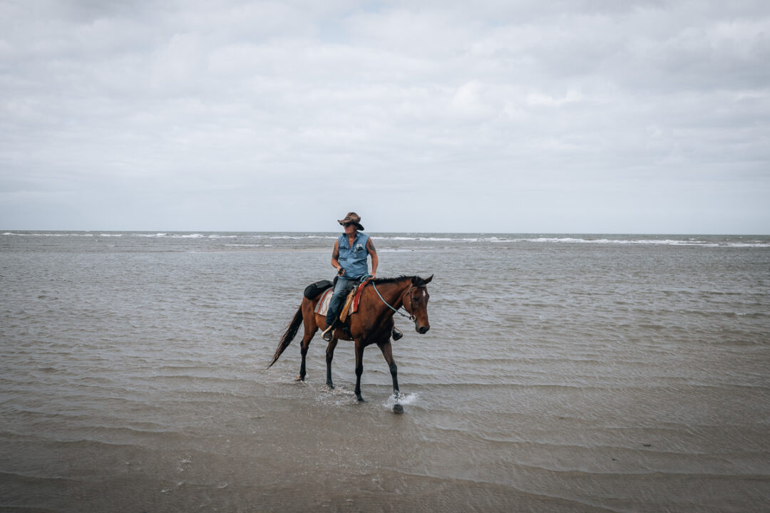 Cape Tribulation Horse Riding: Complete Guide