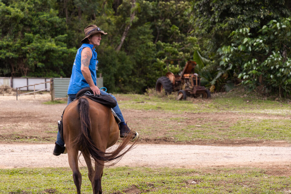 Cape Tribulation Horse Riding: Complete Guide