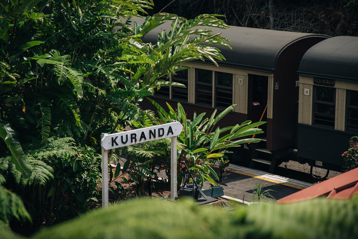 14 Awesome Things to do in Kuranda, Australia – We Seek Travel Blog