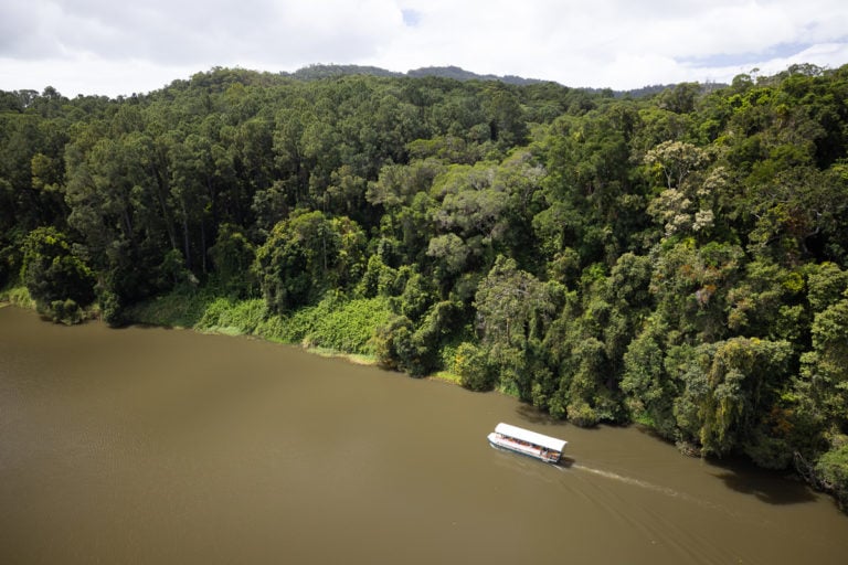 14 Awesome Things to do in Kuranda, Australia in 2023 – We Seek Travel