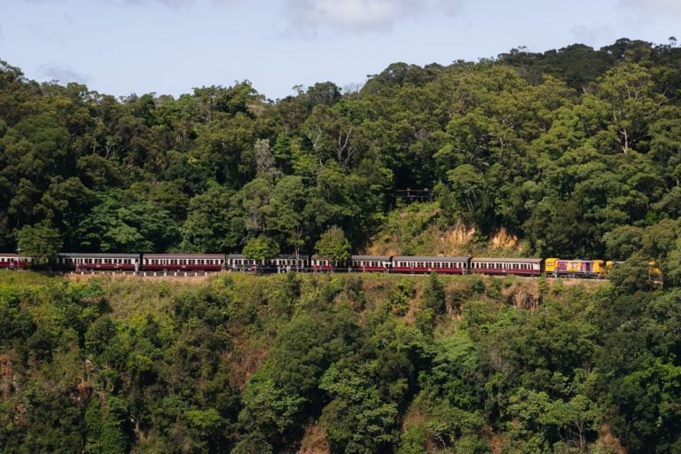 15 Best Things to Do in Kuranda For First-Timers