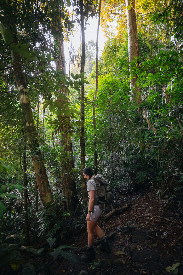 Crawford's Lookout & The North Johnston Lookout Track
