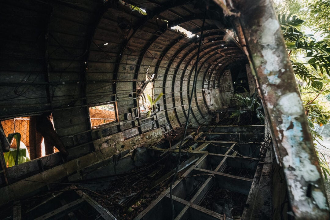 15 Best Things to Do in Kuranda For First-Timers