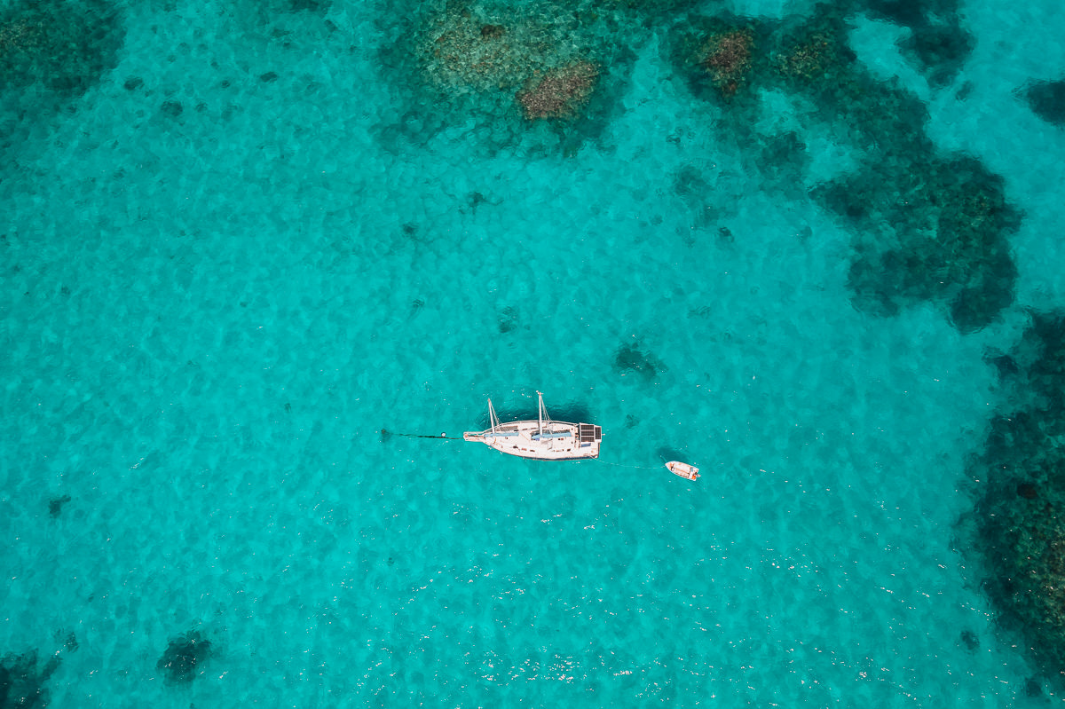 Vlasoff Cay: Photos & Information for 2023 (Great Barrier Reef) – We ...