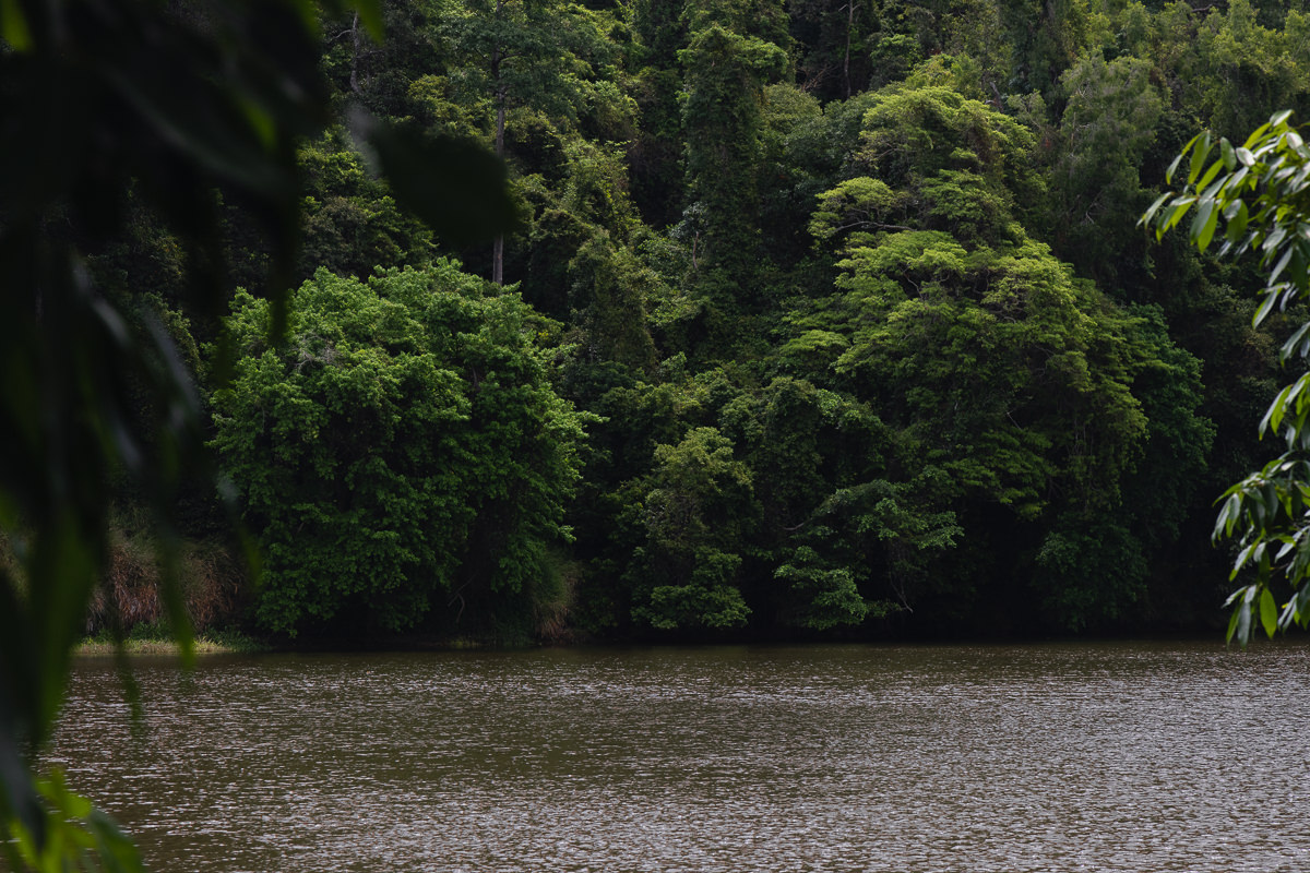 White Water Rafting Cairns (Barron River) - What to Expect, Photos ...