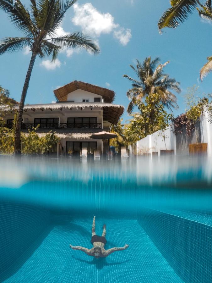 Maasin River Siargao - Epic Bent Palm Tree Swing – We Seek Travel