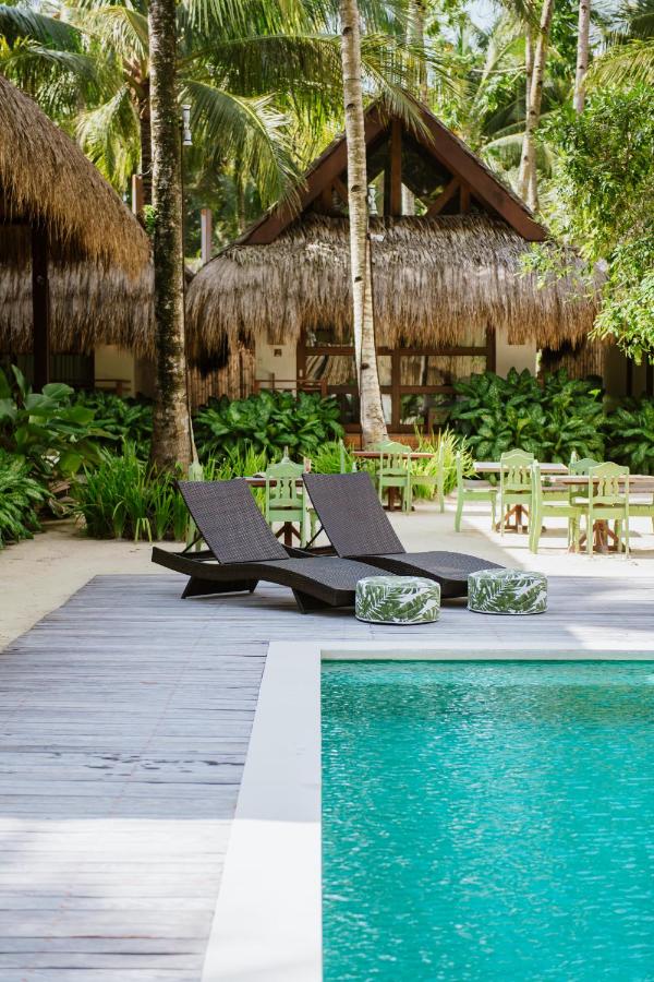All You Need to Know About Palm Tree Coconut Road Siargao