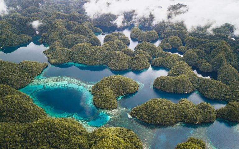 All You Need to Know About Palm Tree Coconut Road Siargao