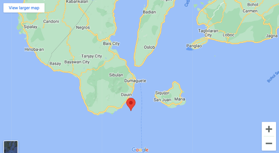 Apo Island Guide: Snorkeling & Diving Near Dumaguete