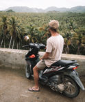 All You Need to Know About Palm Tree Coconut Road Siargao