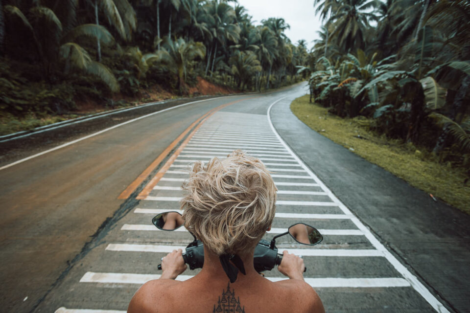 All You Need to Know About Palm Tree Coconut Road Siargao