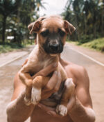 All You Need to Know About Palm Tree Coconut Road Siargao