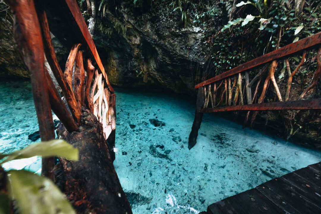 19 Best Cenotes in Tulum, Mexico: Swimming & Scuba Diving