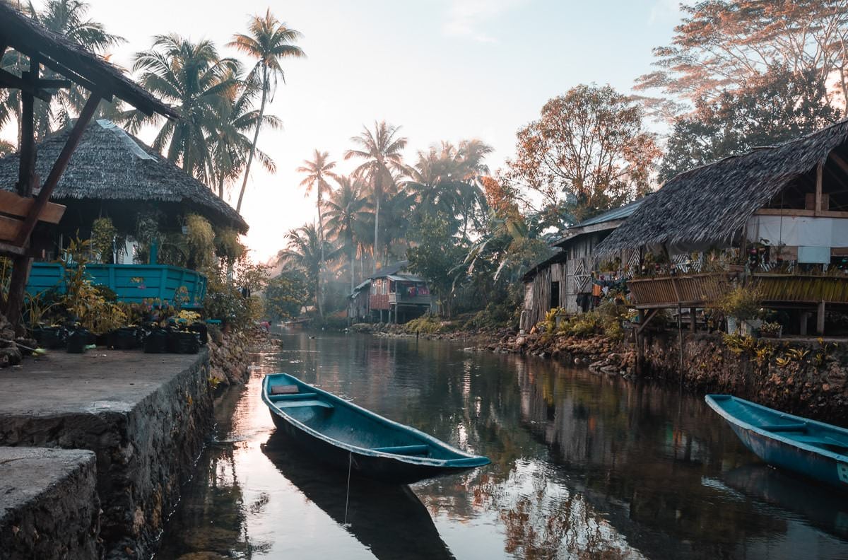 Maasin River Siargao - Epic Bent Palm Tree Swing – We Seek Travel