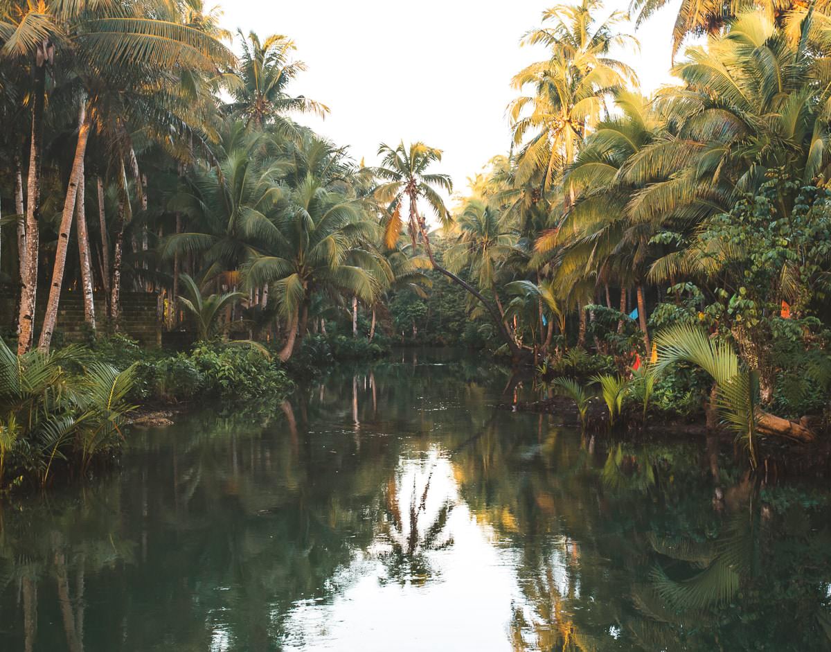 Maasin River Siargao - Epic Bent Palm Tree Swing – We Seek Travel
