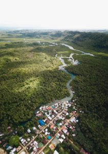 How to Visit Maasin River & the Fallen Bent Palm Tree