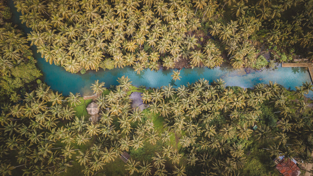 How to Visit Maasin River & the Fallen Bent Palm Tree