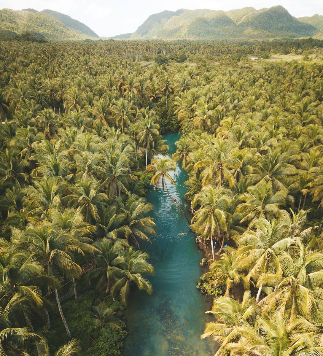 Maasin River Siargao - Epic Bent Palm Tree Swing – We Seek Travel