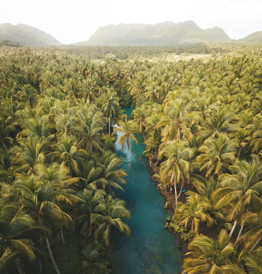 How to Visit Maasin River & the Fallen Bent Palm Tree