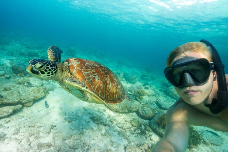 26 Awesome Things to Do in Tulum, Mexico