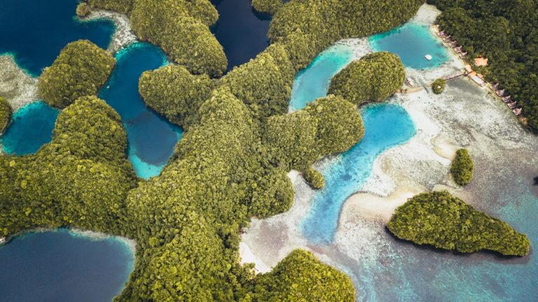 Sohoton Cove From Siargao - National Park Tour in 2023 (Caves & Lagoons ...