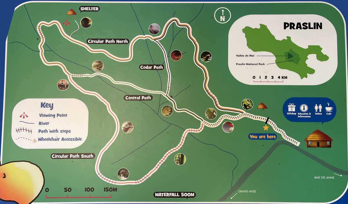 Vallée de Mai, Praslin - Complete 2023 Visitor Guide (Seychelles) – We ...