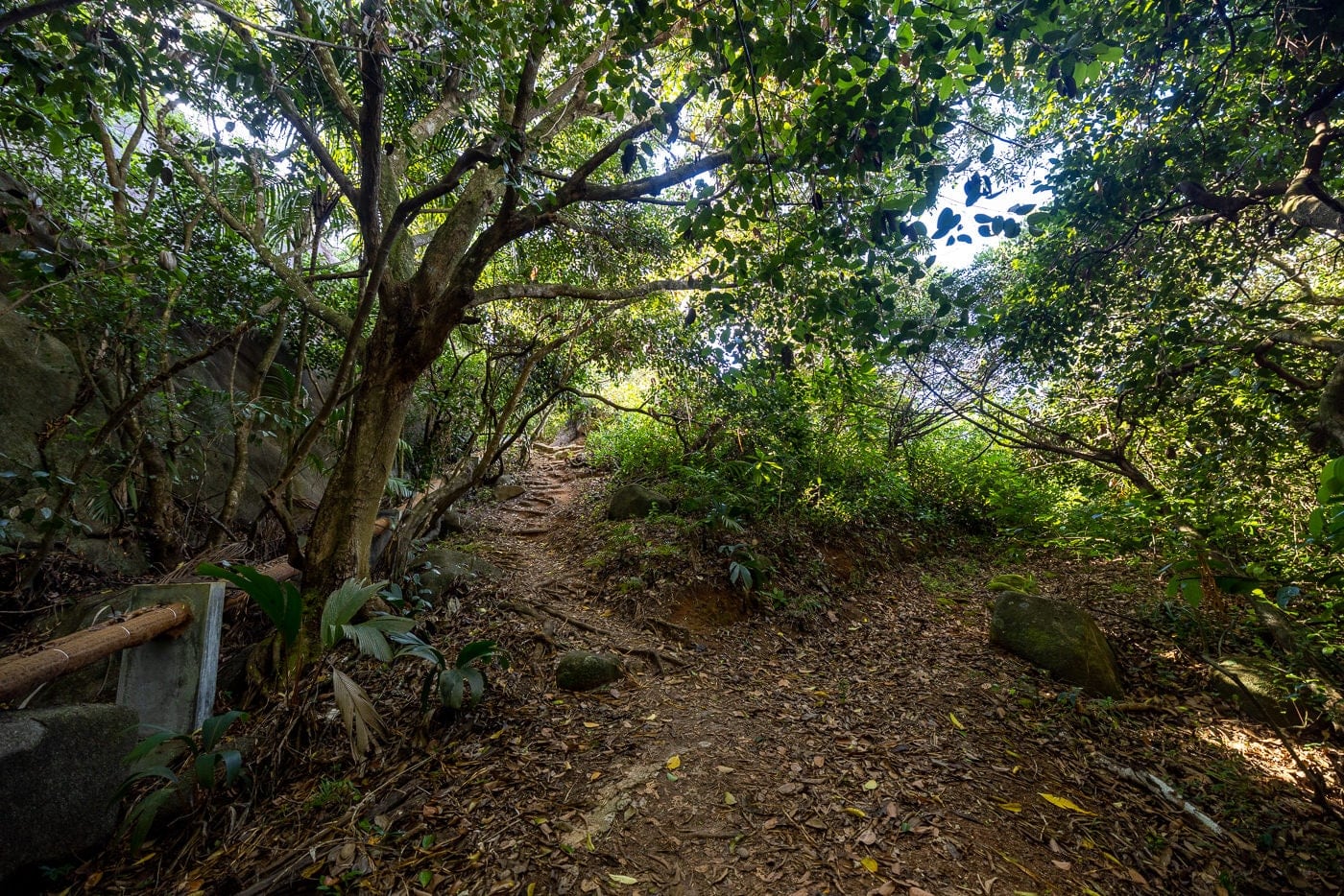 How to Get to Anse Major Beach on Mahe Island, the Seychelles (Nature ...