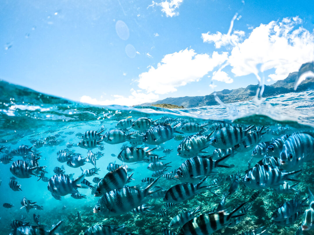 Mahé Beaches: 12 Best Beaches on Mahé Island, the Seychelles