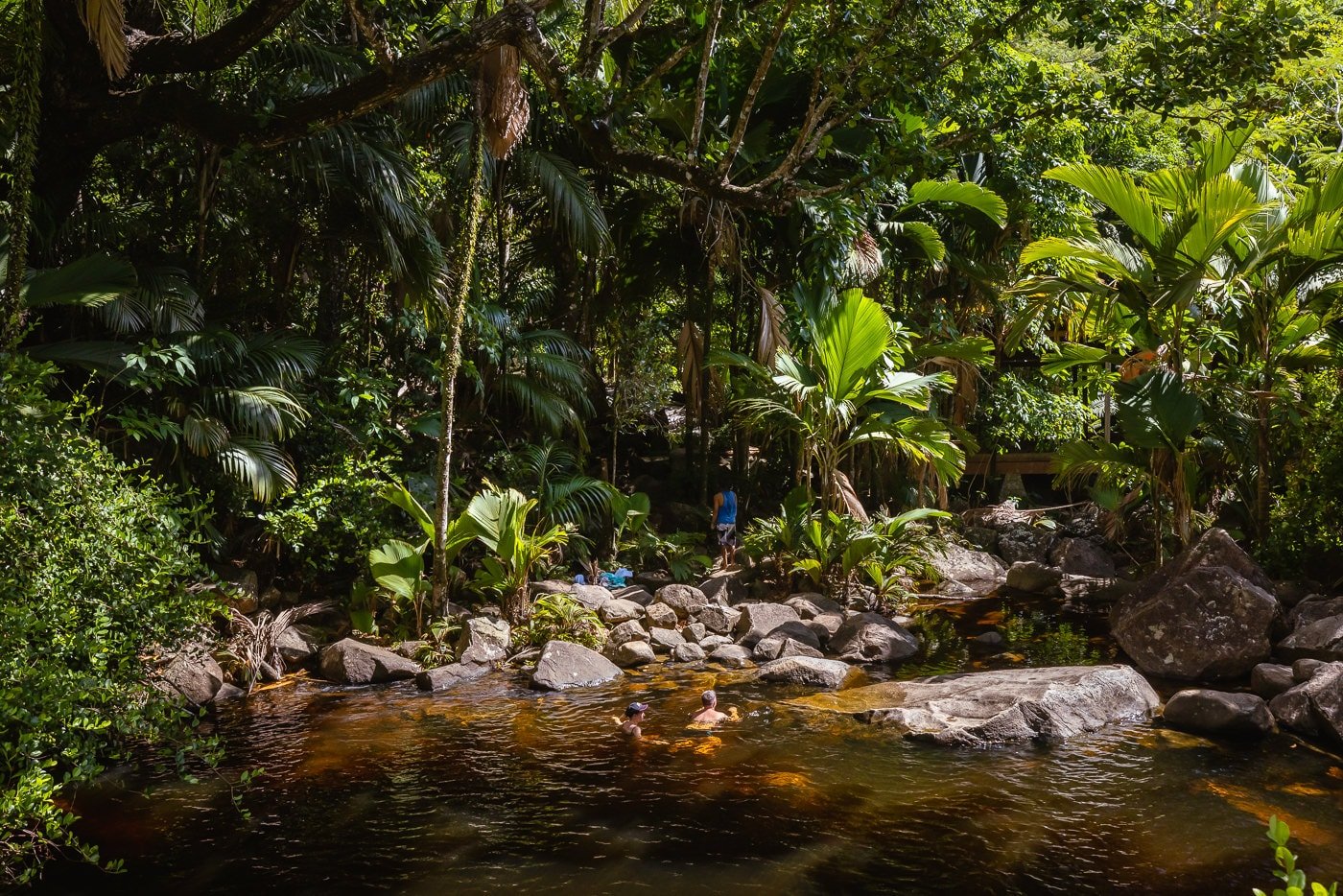 Sauzier Waterfall - Amazing Mahe Waterfall In Port Glaud (Seychelles ...
