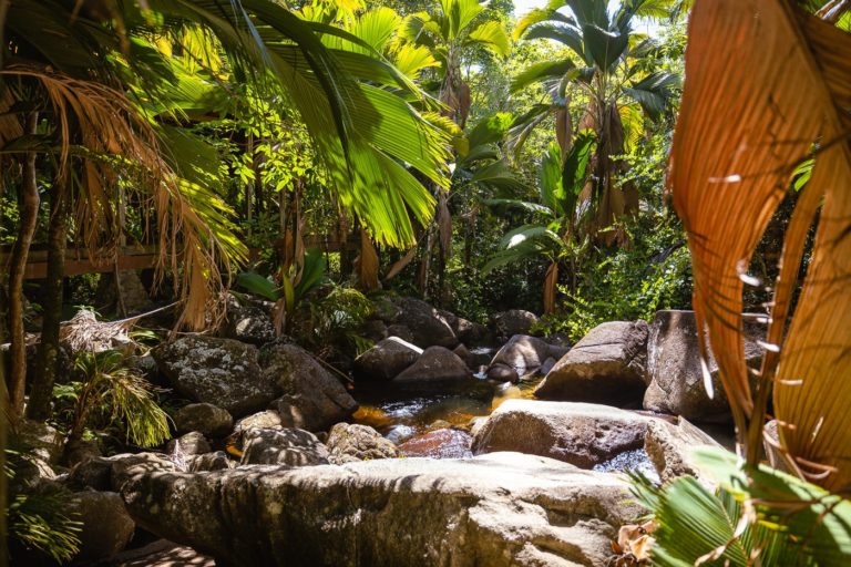 Sauzier Waterfall: Epic Mahé Waterfall In Port Glaud