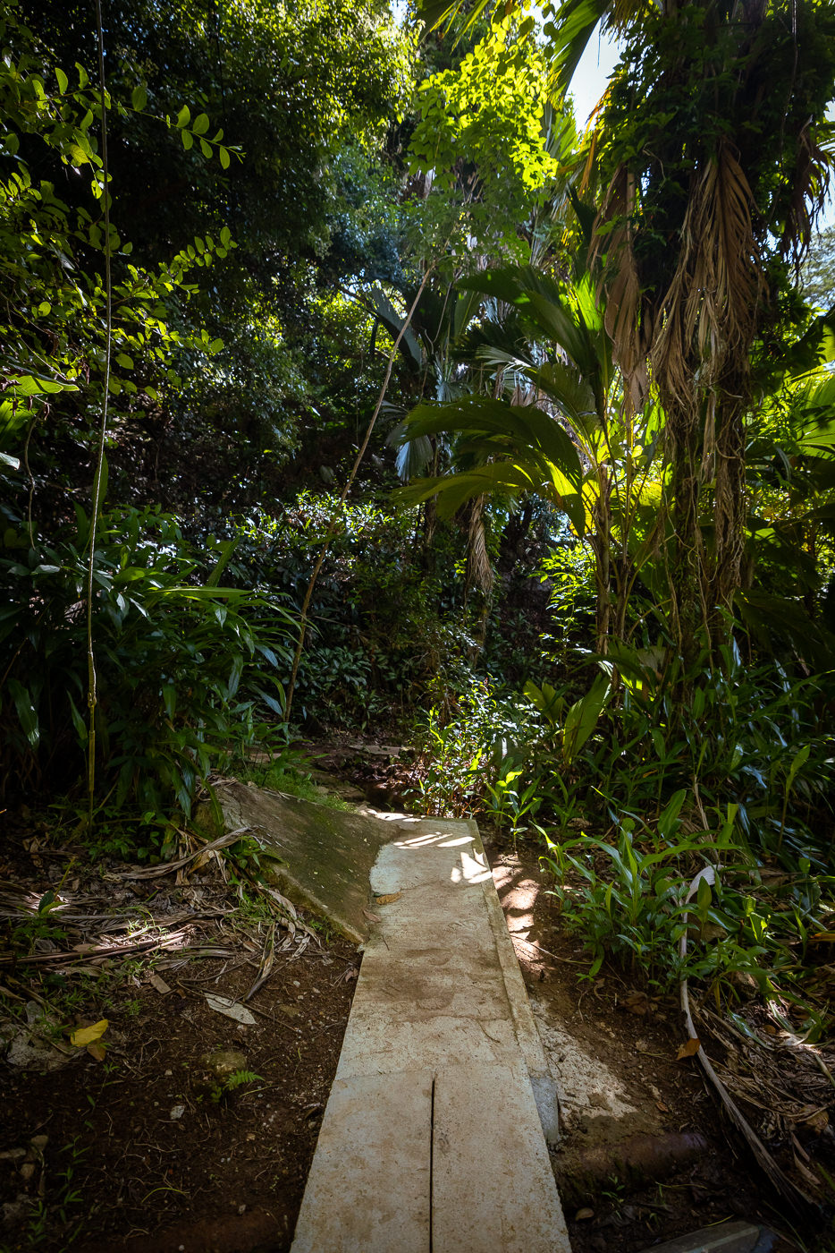 Sauzier Waterfall - Amazing Mahe Waterfall In Port Glaud (Seychelles ...