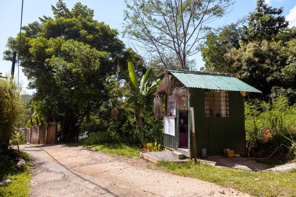 Sauzier Waterfall: Epic Mahé Waterfall In Port Glaud