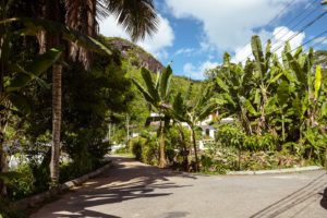 Sauzier Waterfall: Epic Mahé Waterfall In Port Glaud