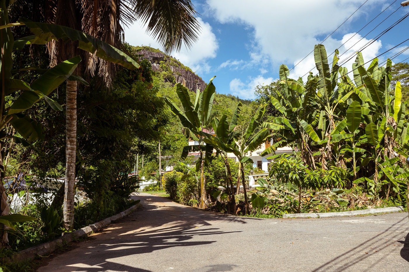 Sauzier Waterfall - Amazing Mahe Waterfall In Port Glaud (Seychelles ...