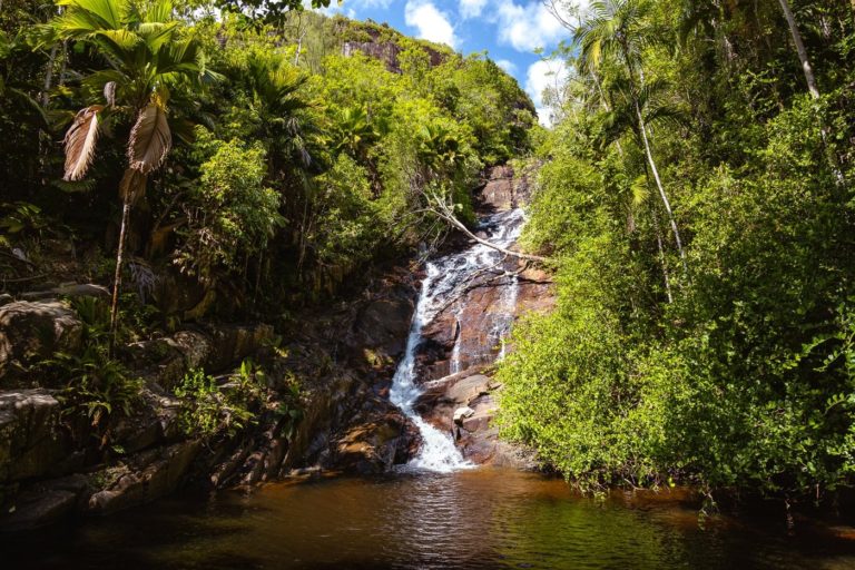 Sauzier Waterfall - Amazing Mahe Waterfall In Port Glaud (Seychelles ...