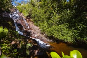 Sauzier Waterfall: Epic Mahé Waterfall In Port Glaud