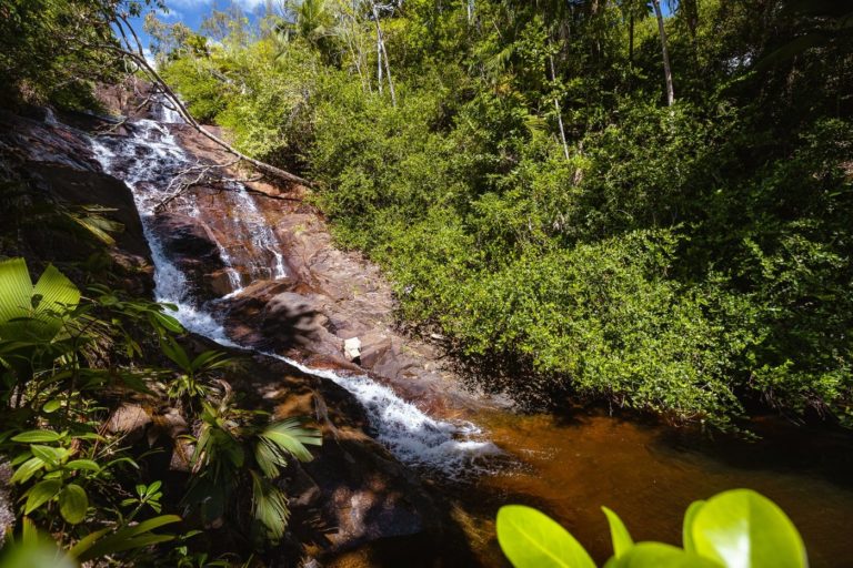 Sauzier Waterfall: Epic Mahé Waterfall In Port Glaud