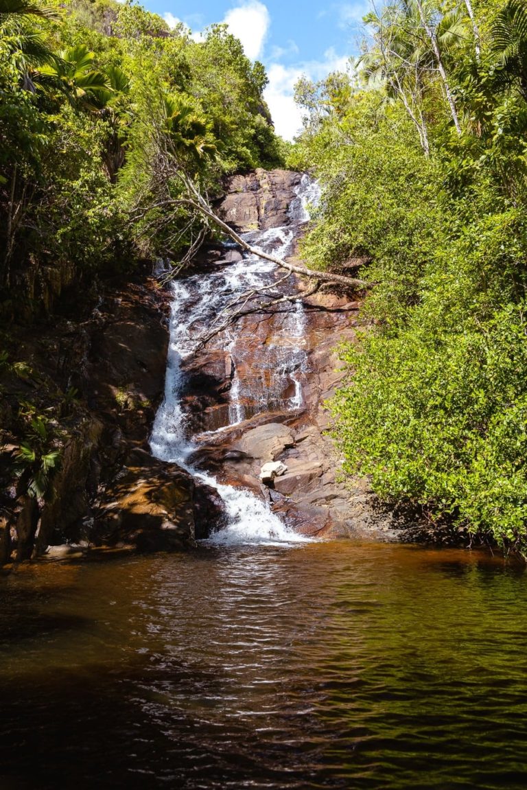 Sauzier Waterfall - Amazing Mahe Waterfall In Port Glaud (Seychelles ...