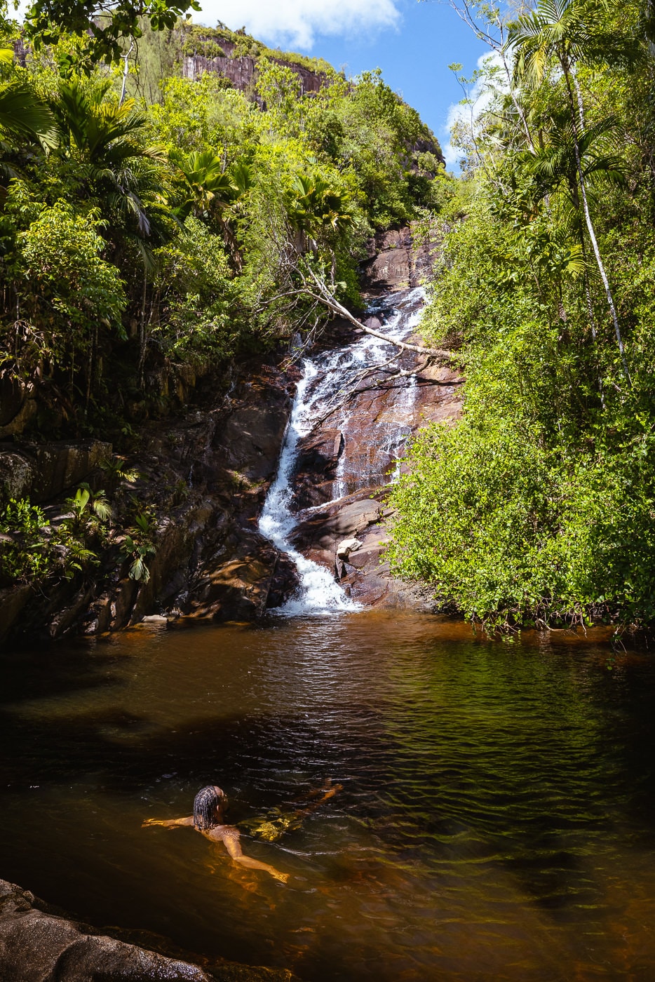 Sauzier Waterfall - Amazing Mahe Waterfall In Port Glaud (Seychelles ...