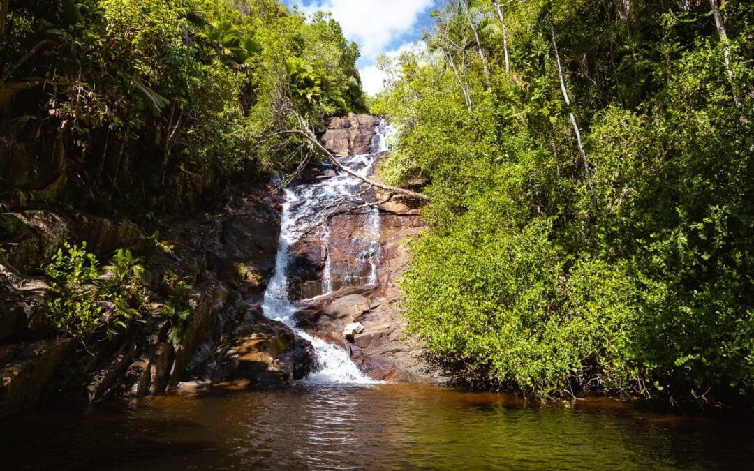 Sauzier Waterfall: Epic Mahé Waterfall In Port Glaud