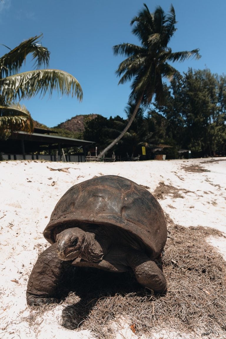How to Visit Curieuse Island & St Pierre From Praslin