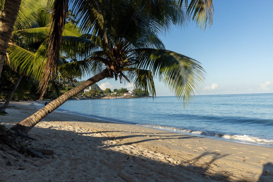 Where to Stay on Mahé Island: 13 Best Hotels & Top Areas