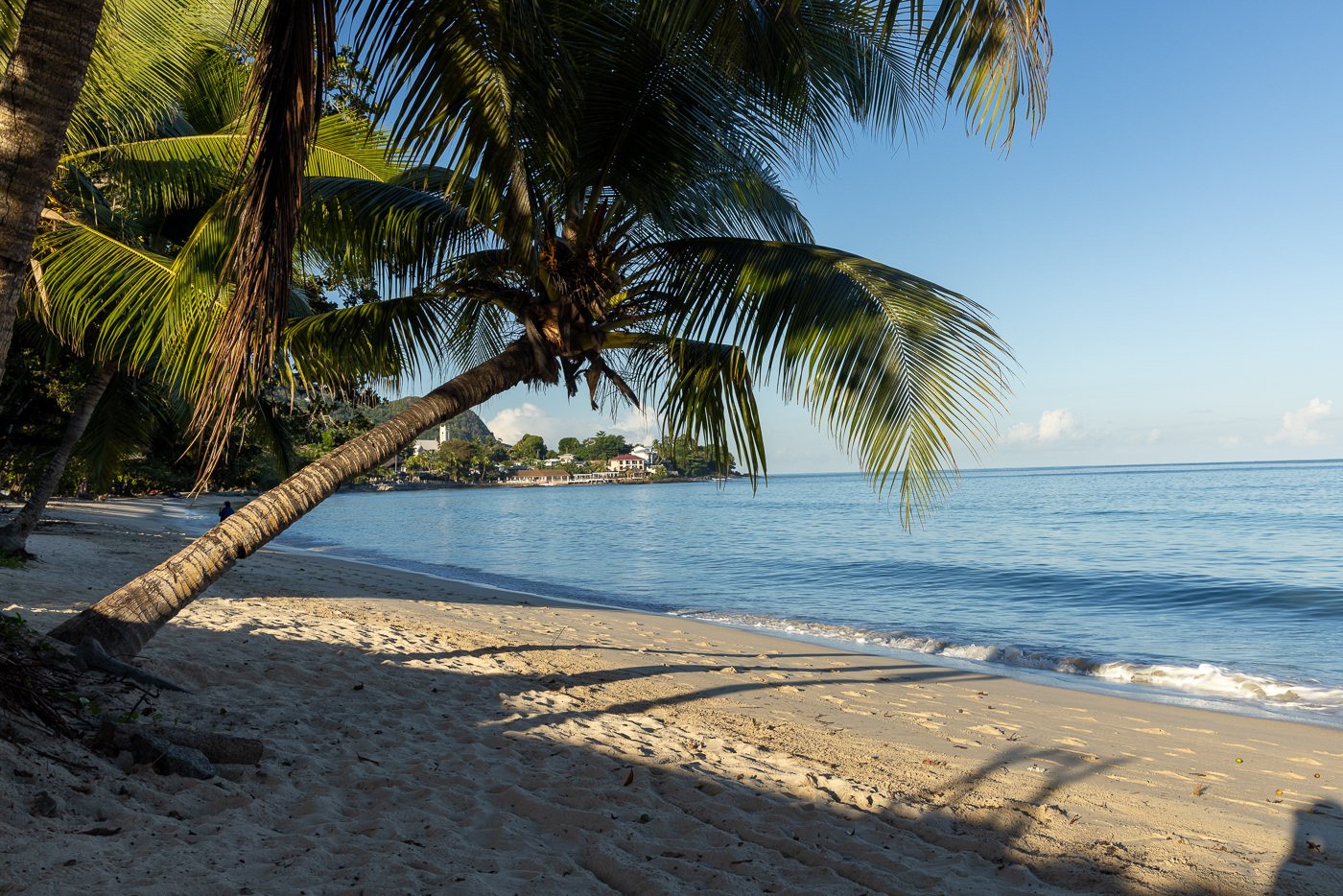 11 Best Resorts & Beach Hotels On Mahe Island, the Seychelles (2022 ...