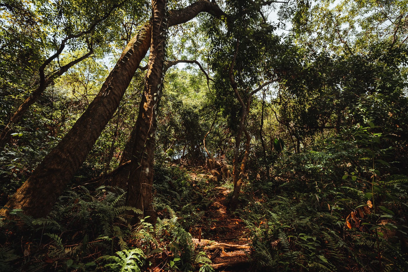 How to Get to the Rock Pool on Mahe (Ros Sodyer) - The Seychelles – We ...