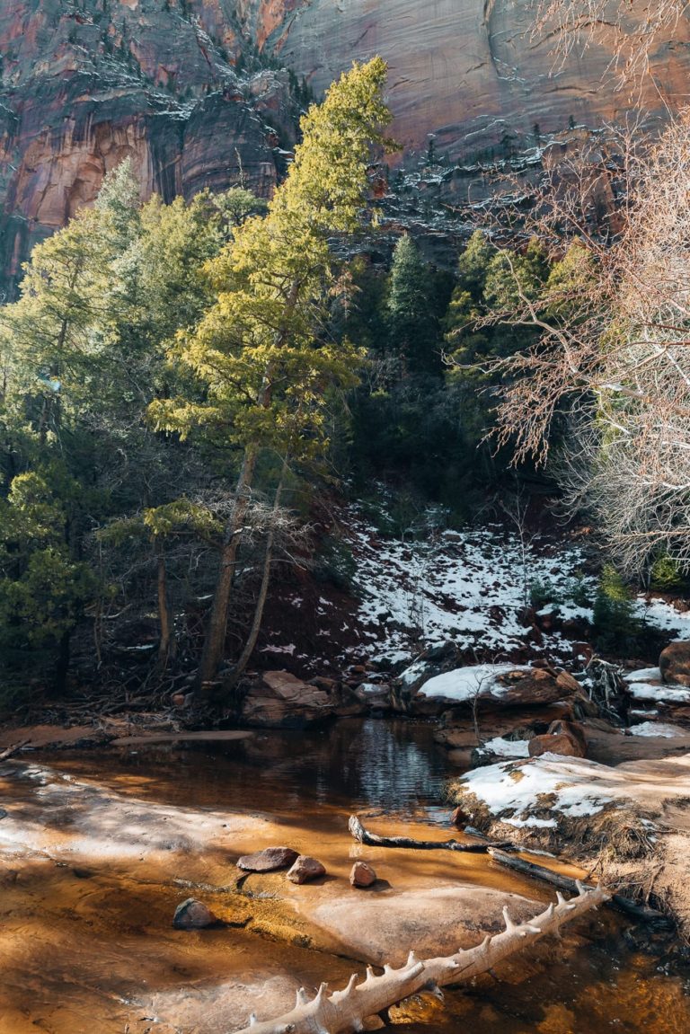 Hiking the Lower Emerald Pool Trail in Zion National Park